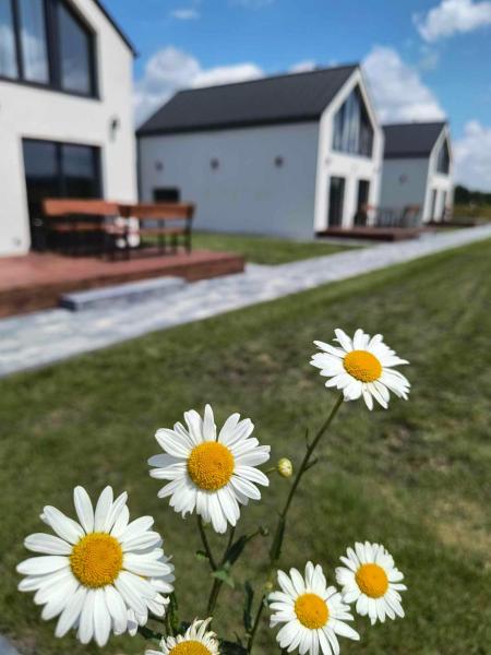 Noclegi Beskidzkie Stodoły - Polonya