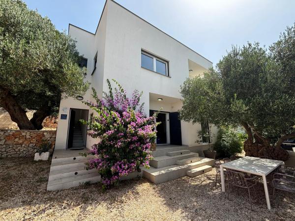 Villa Oleana - Promajna