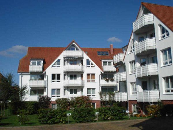 Kastanienallee Zwischen Zentrum Und Seebrücke - Rostock