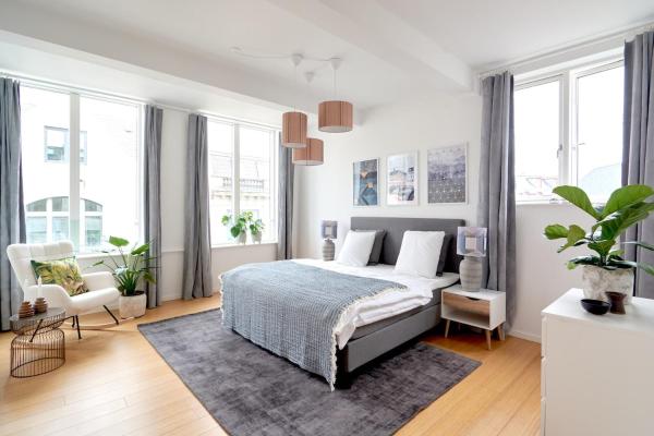 Eksklusiv-nordisk-topbelligenhed - Copenhague