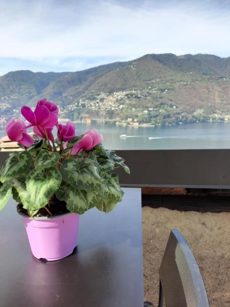 Luxury Room La Terrazza Sul Lago Di Como - Lake Como