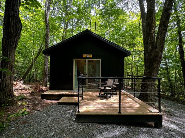 Can't Bear To Leave 486 - A Perfect Pisgah Retreat - Transylvania County, NC