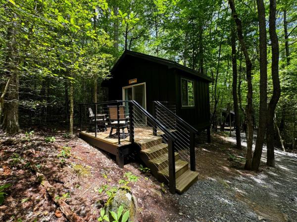 Bearly Behaving 496 - A Cozy Cabin Pisgah Retreat - North Carolina