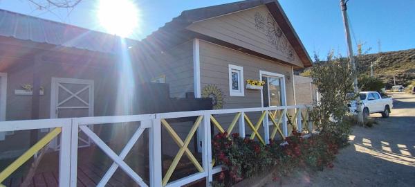 Girasoles De Valdes - Provincia de Chubut