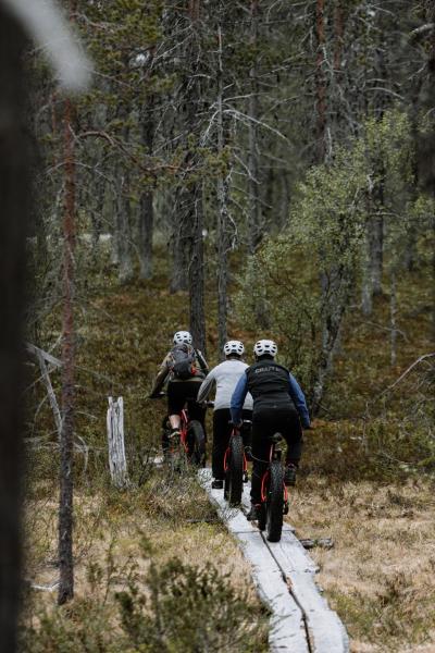 Arctic Sky Lapland - Saariselkä