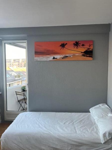 Apartment In Eaux-vives, Balcony View - Carouge
