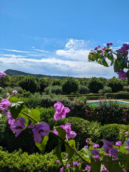La Fenice Holiday Apartment - Manerba del Garda