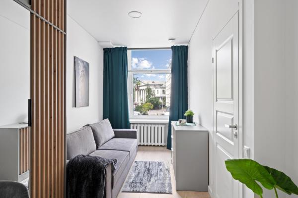 Central Cozy 1bedroom Apartment With Sofa Bed - Sleeps 4 - 維爾紐斯