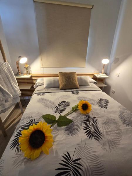 The Sunflower - la Grande Canarie