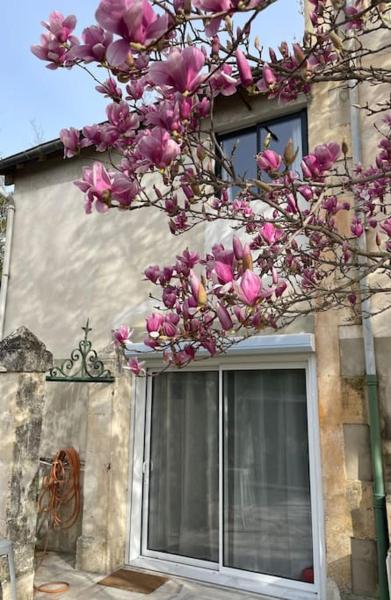7 Rayons - Avignon