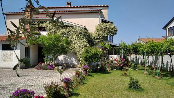 Apartment Sasa Bozac - Cittanova