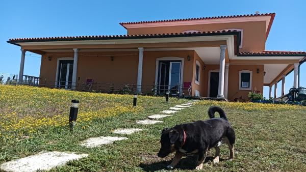 Casa Londrino - Ilha