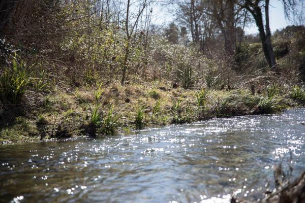 Zen Experience Including Yoga & Healthy Food - Carcassonne