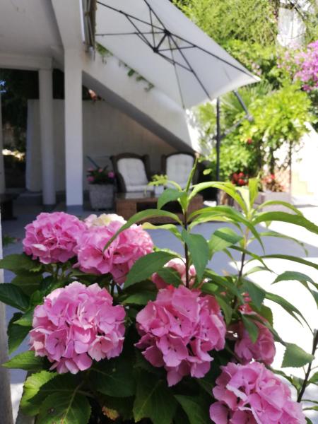 Apartments Poretti For 2,in Center Parking Free In The Yard,6 Min Beach Walk - Rovinj