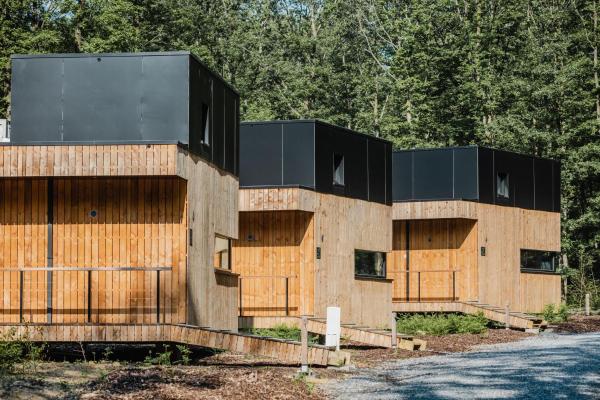 Forest Cube - Viroinval