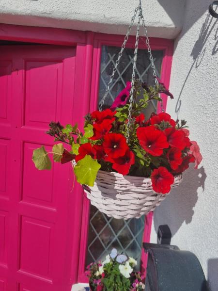 The Pink Door - Enniscrone
