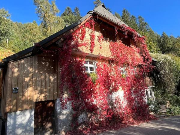 Auszeit Am Kreisbach - Triberg im Schwarzwald