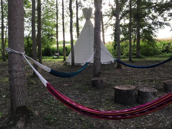 Au Chat Qui Pêche - Loir-et-Cher