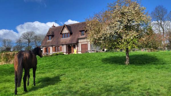 Relais éQuestre Du Miloir - Chambres D'hôtes - Lisieux