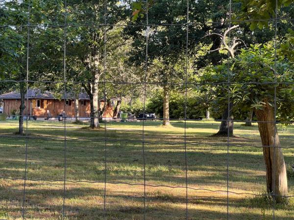 Location Dans Un Airial - Mimizan