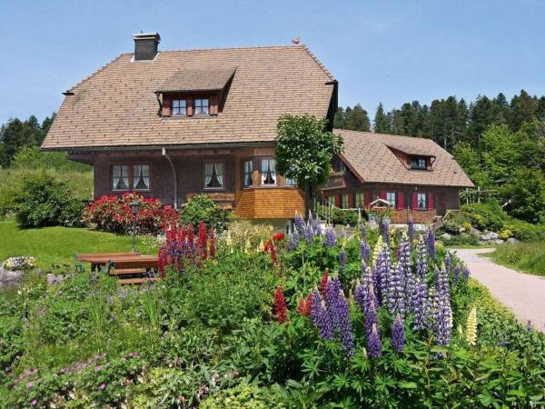 Kienberg - Landhaus Anja - Alpirsbach