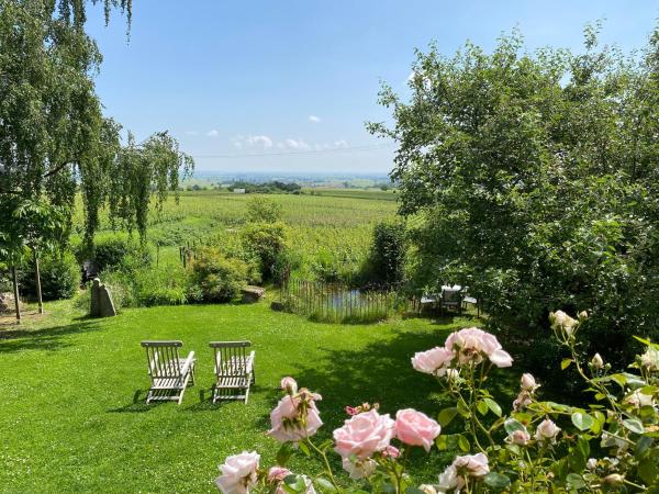 Traumblick Rebenmeer - Gleisweiler