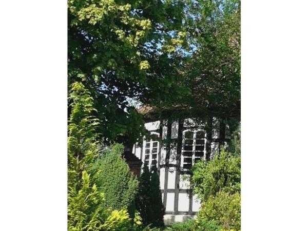 Rosi Comfortable Holiday Residence - Rheinsberg