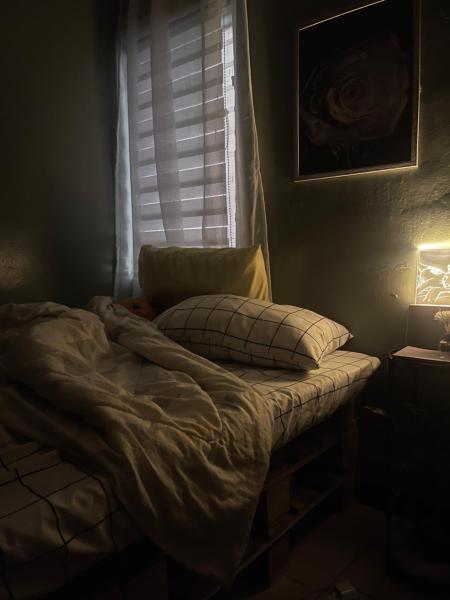 Nordic Style Homestay Davao - Davao City