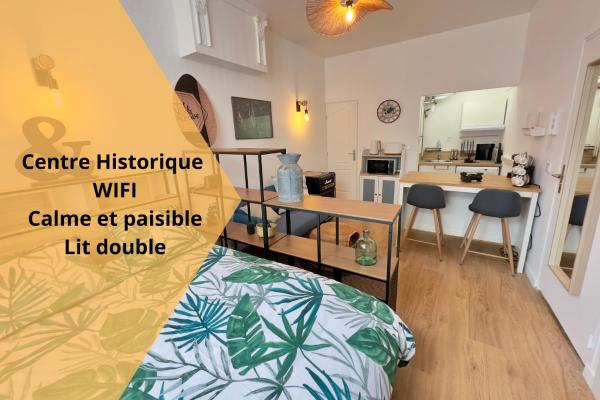 L’albizia- Centre -Tv Wifi-cozy - Département Aude