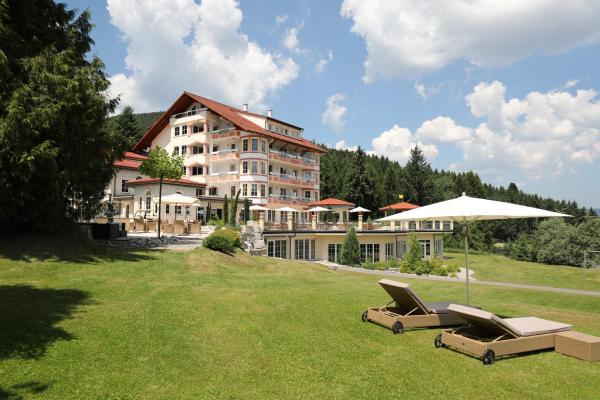 Ailwaldhof Parkhotel & Spa - Baiersbronn