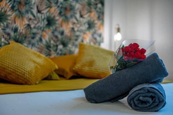 Chic Family - Confortable & Moderne - Parking Wifi Clim Gare Tgv - Idéal Famille - Perpignan