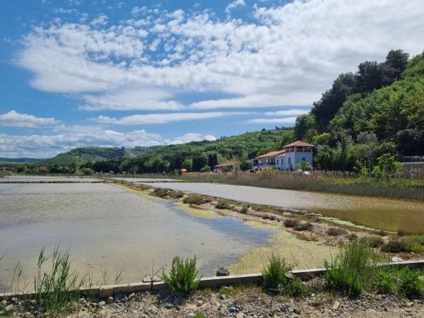 Salt Field Residence - Strunjan