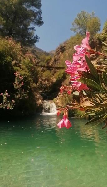 Villa Otivar - Rio Verde - Almuñécar