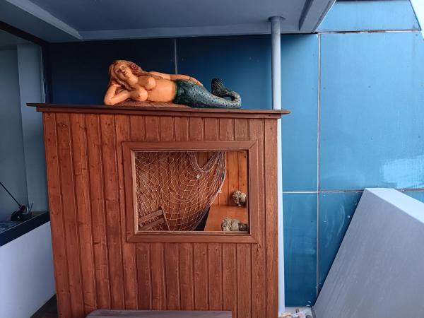 Ferienwohnung `Ton Utkiek` - Bremerhaven