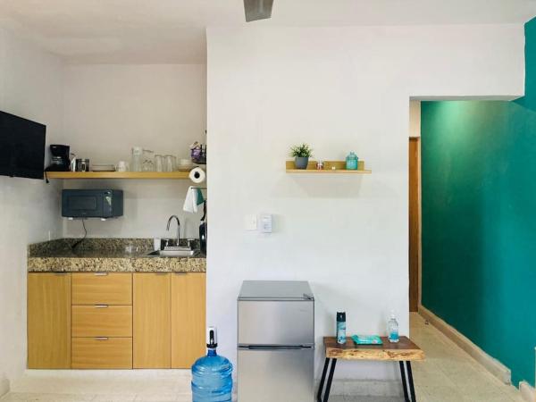 Estudio En García Gineres - Mérida