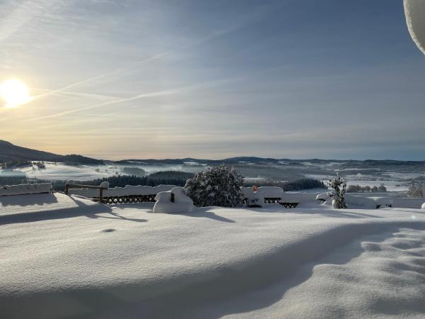 Hotel "Haus Am Berg" - Zwiesel