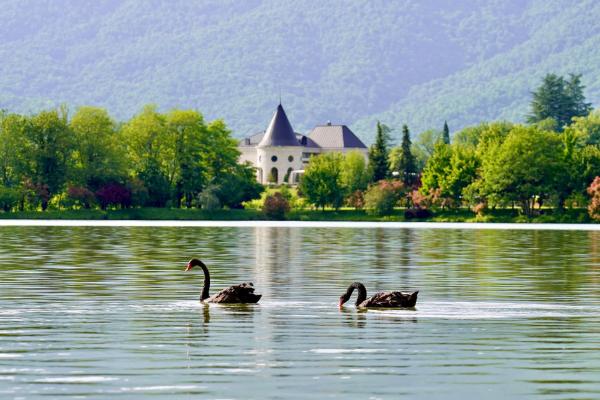 Lopota Lake Resort & Spa - Georgia