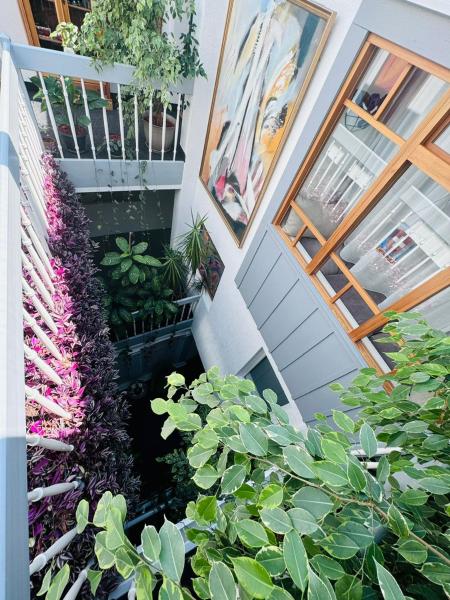 Villa Helvetia - Târgu Mureș