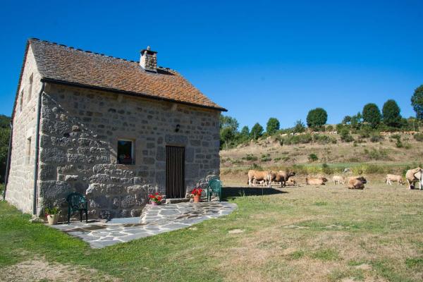 Le Moulin De La Vaissière 5/6 Personnes - Langogne