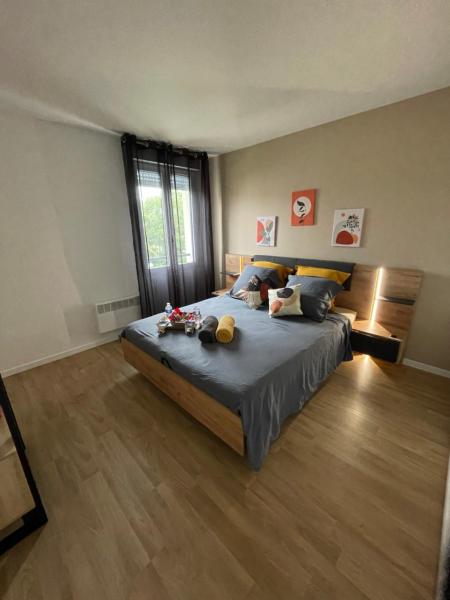 Paris Disneyland Appartement Centre-ville, Parking, Au Coeur De L'aviron - Torcy