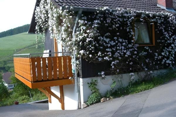Small Holiday Cottage Ivy - Black Forest