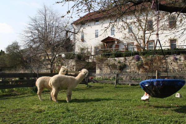 Urlaub Auf Dem Bauernhof, Mit Schlossblick - Bad Sulza