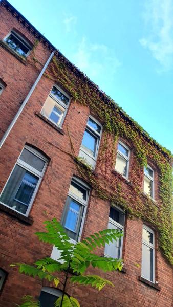 Freiraum Hostel Kreuzberg - ベルリン