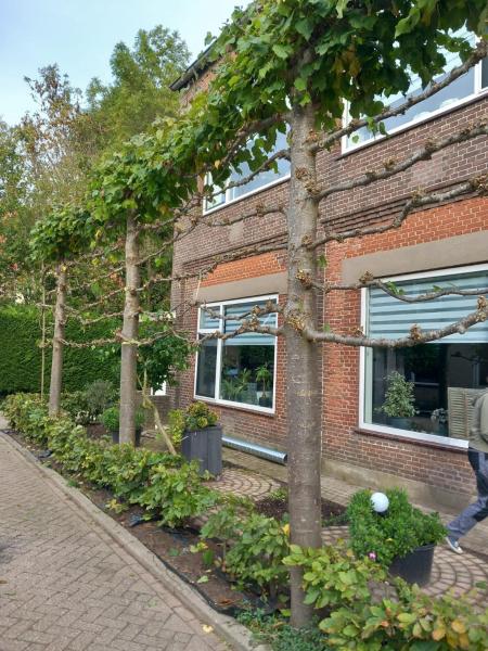 Klooster Achthuizen - Steenbergen