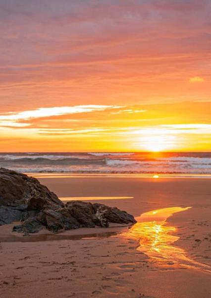 Willow Bungalow Quiet And Secluded - Carbis Bay