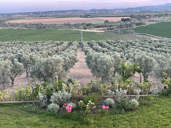 La Pizzuta Del Principe - Crotone