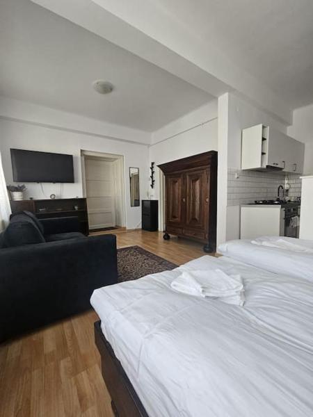Cozy Studio Hermannstadt - Sibiu
