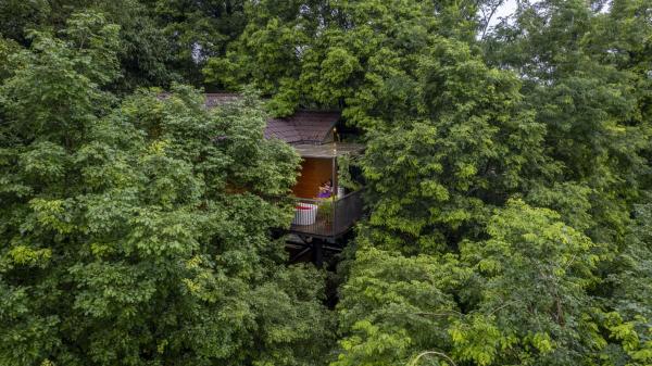 Crystal Kuruva Nature Resort & Spa - Wayanad