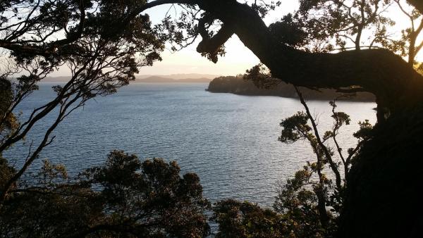 Auckland Clifftop - Auckland