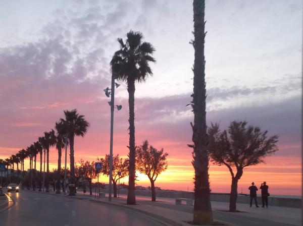 Veli Sul Mare - Mola di Bari